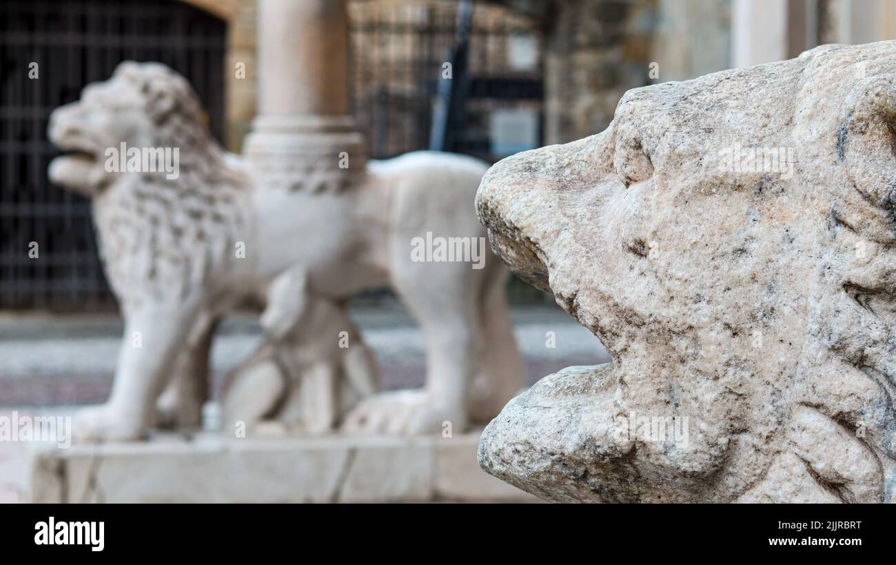 A closeup of beautiful lion sculptures in the old town of Bergamo ...