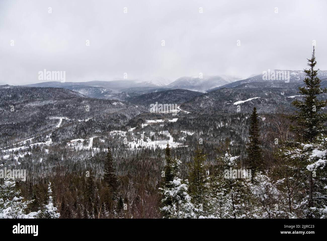 Beautiful background of snowy landscape with trees, clouds and fluffy ...