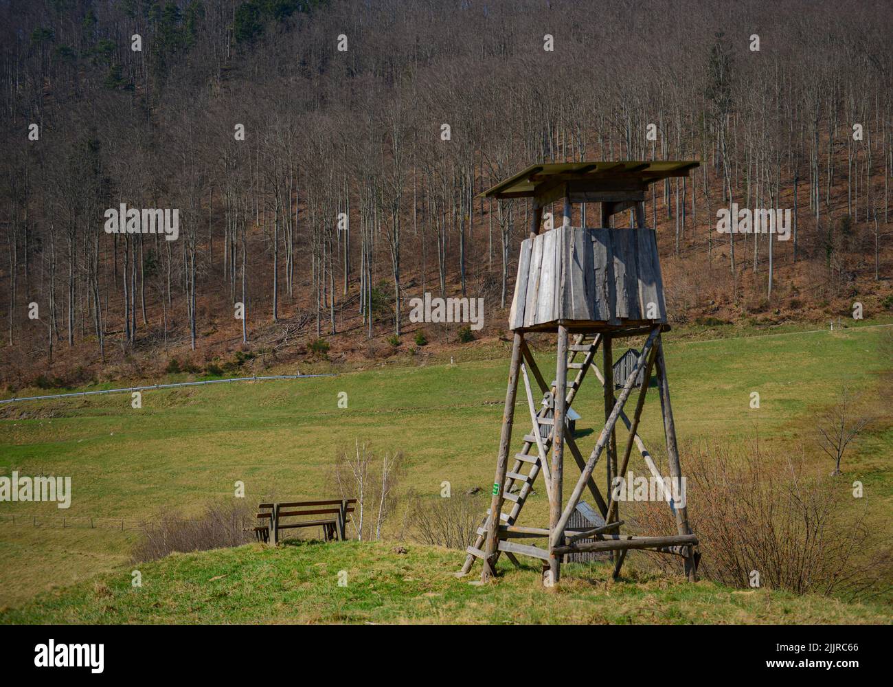 A view of a wooden tree stand, or a deer stand, for hunters in the ...