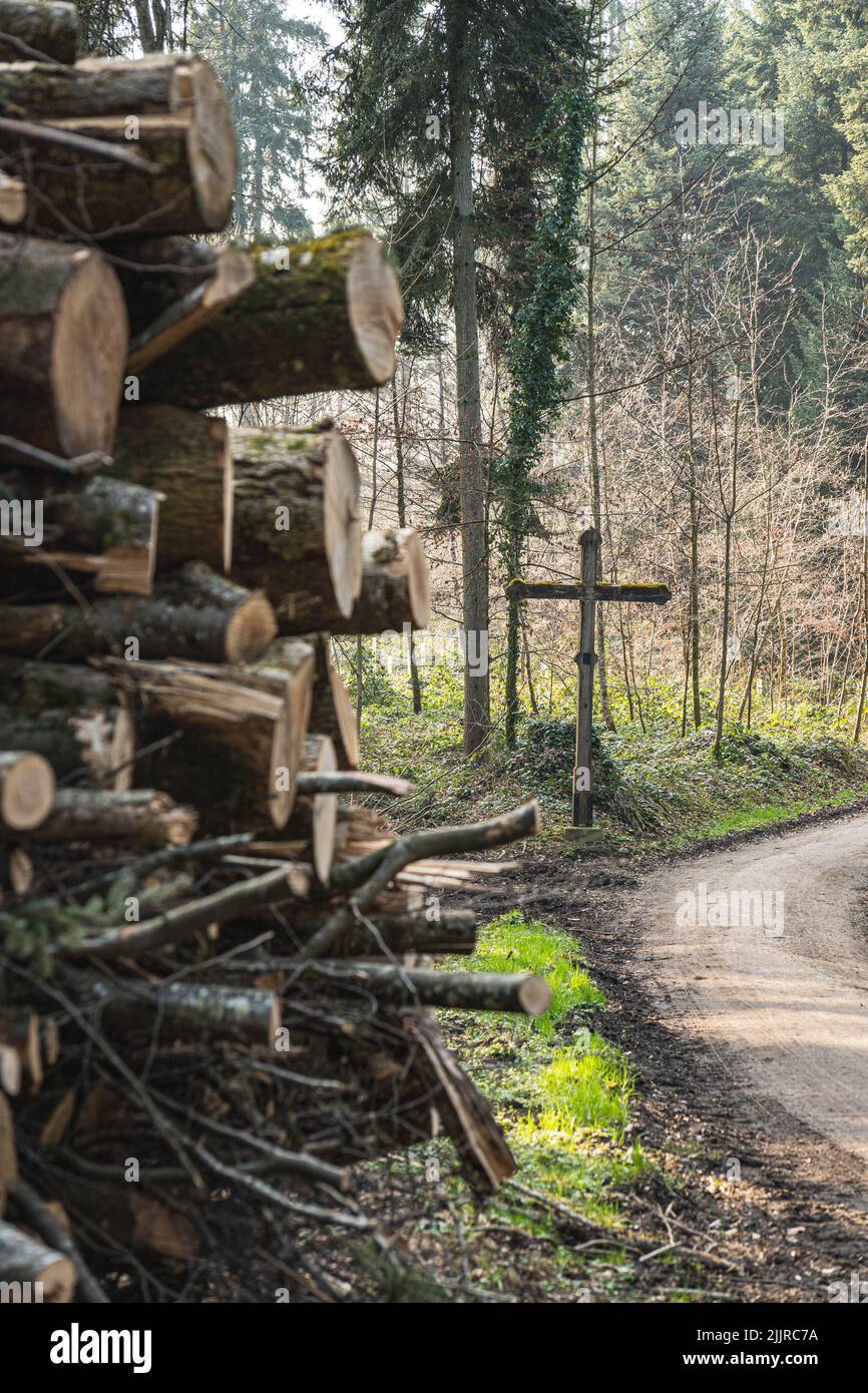 A wooden cross on a road near the logs in a forest Stock Photo - Alamy