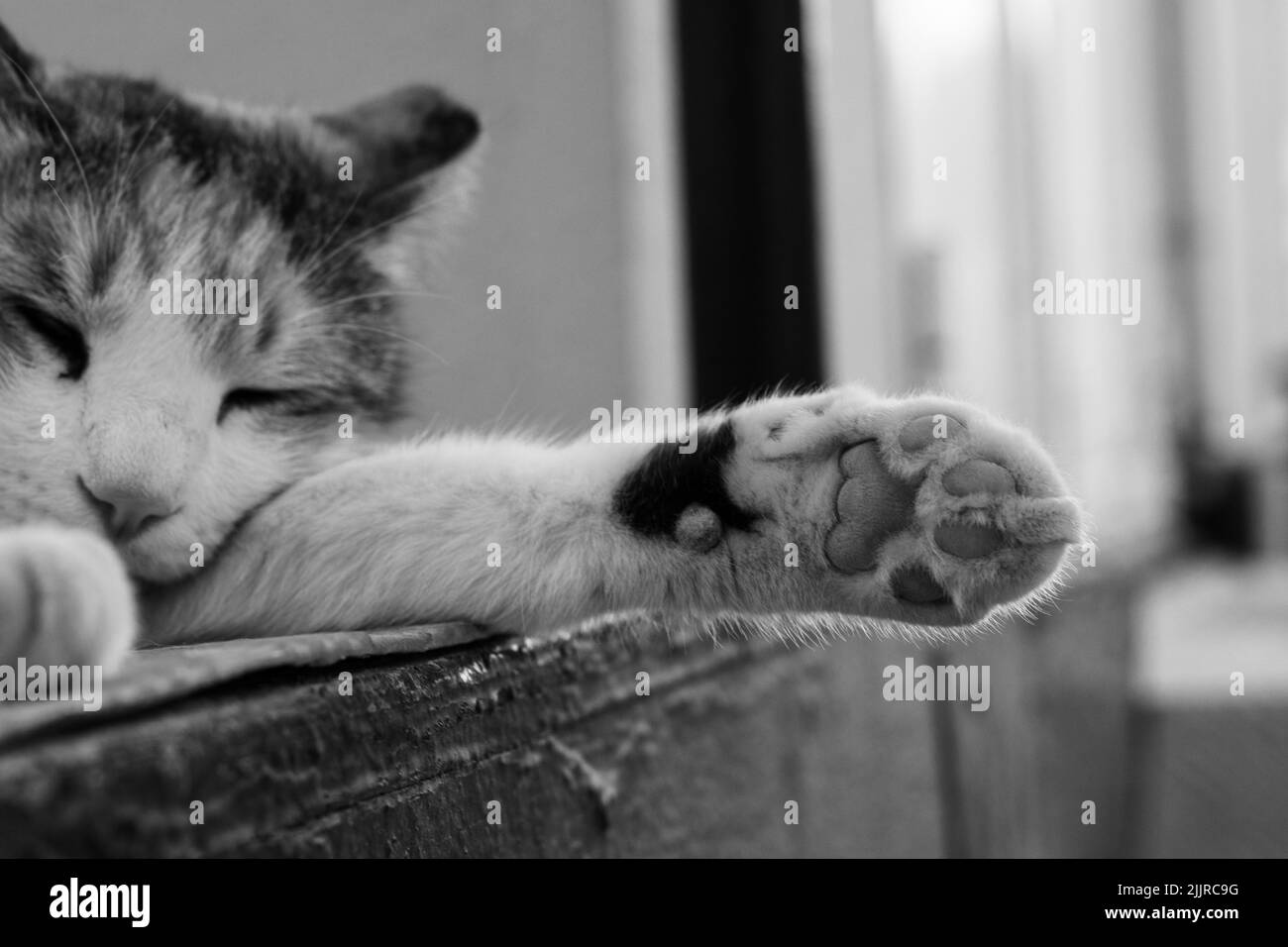 Napping day Black and White Stock Photos & Images - Alamy