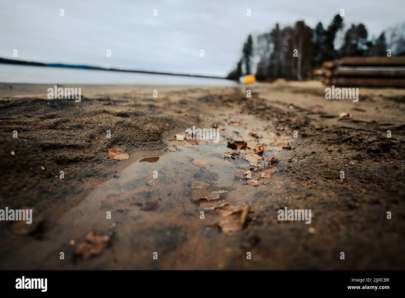 A closeup shot of wet sand on a beach Stock Photo - Alamy