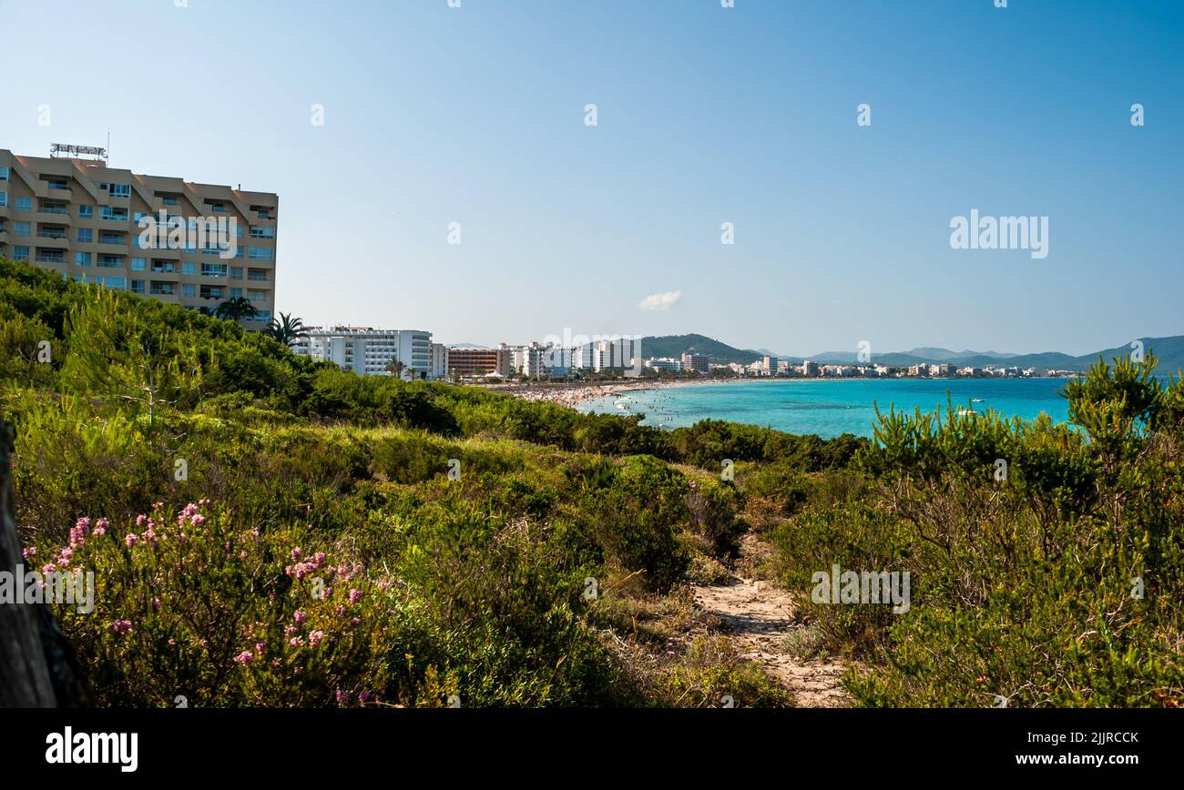 A narrow path through lush green plants leading to the beach in Majorca ...