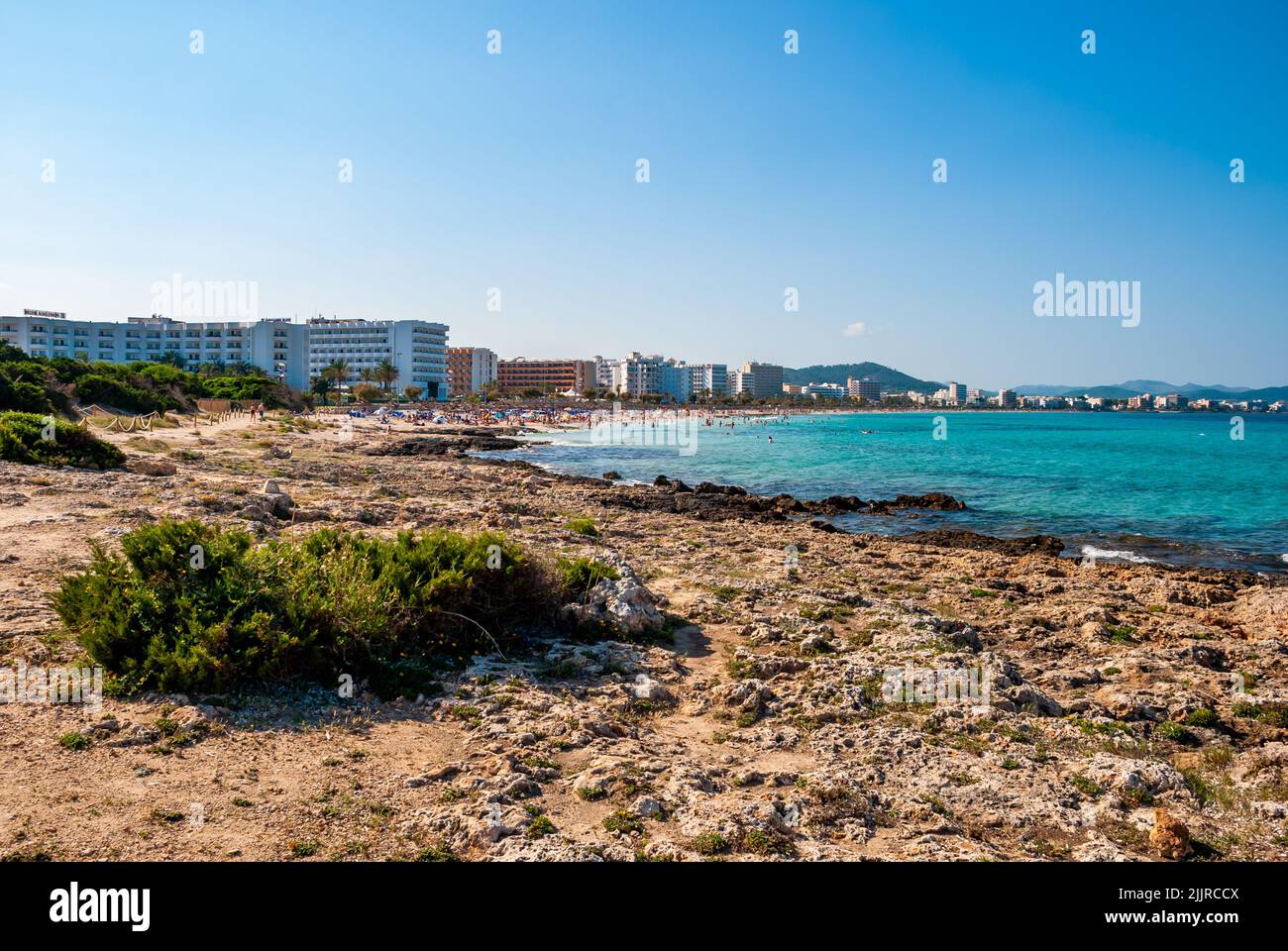 The scattered bushes on the beach in Majorca, Spain with buildings in ...