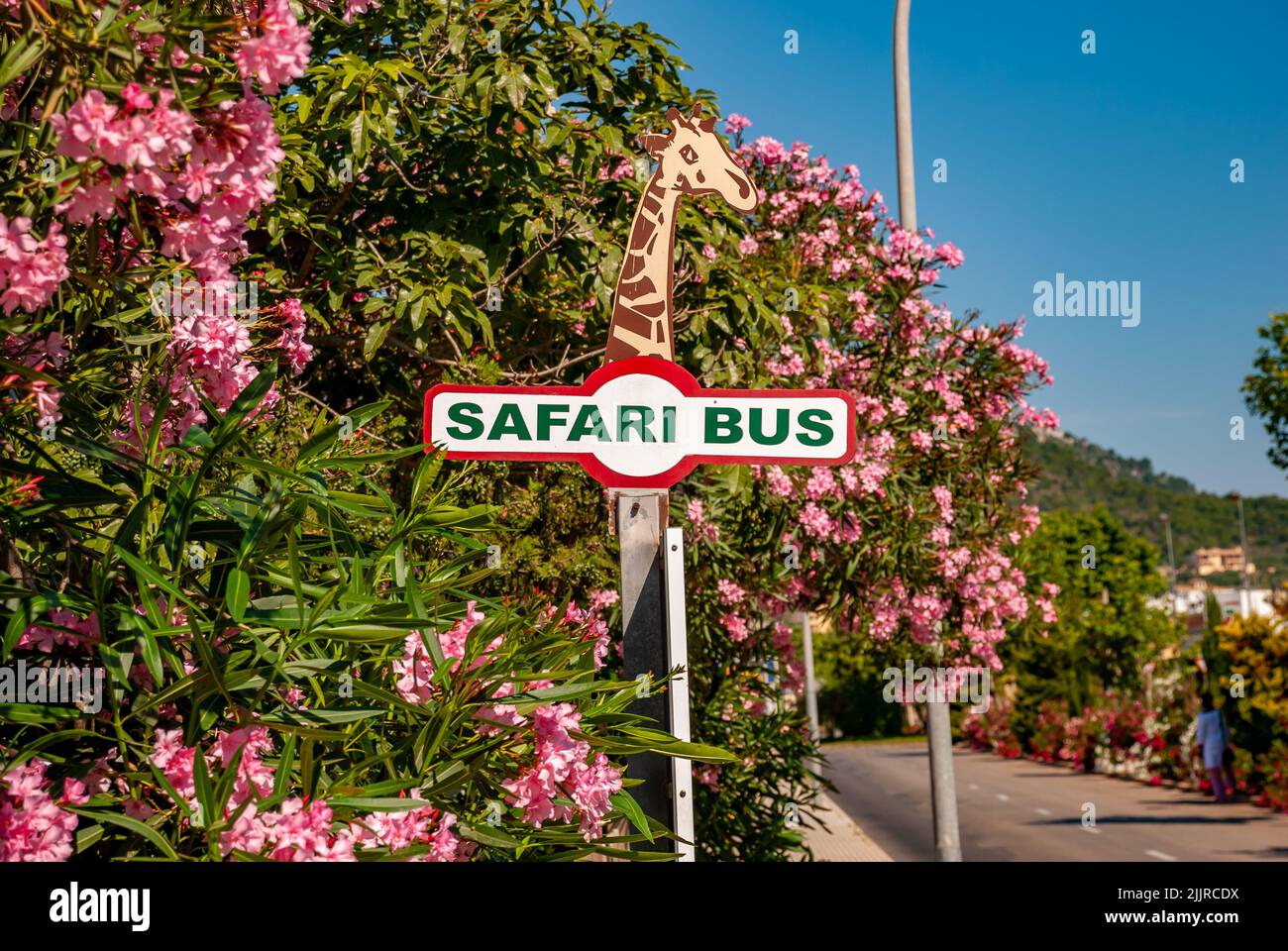 A safari bus zoo giraffe sign on blue sky background in Majorca, Spain ...