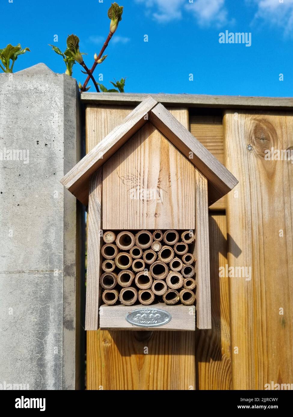 Insect home hi-res stock photography and images - Alamy