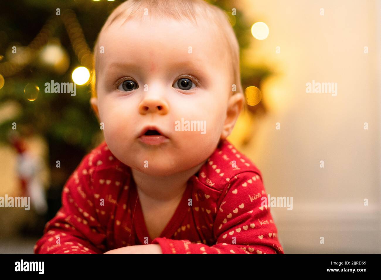 Toddler baby girl sitting under the Christmas tree, baby portrait Stock ...