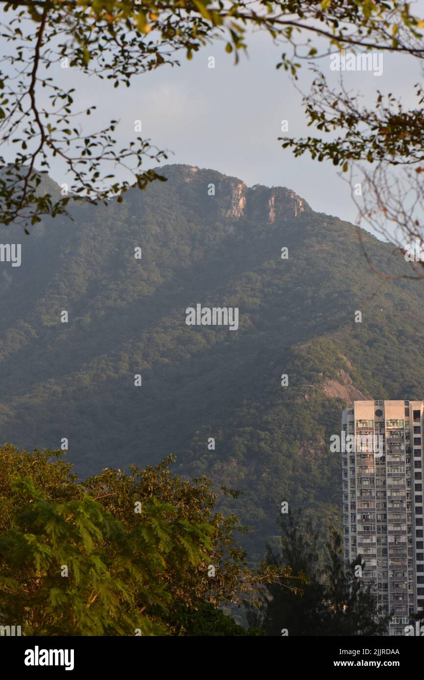 High rise building nature landscape hi-res stock photography and images ...