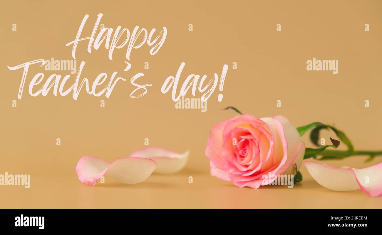 HAPPY TEACHERS DAY text greeting card holiday background Delicate pink ...