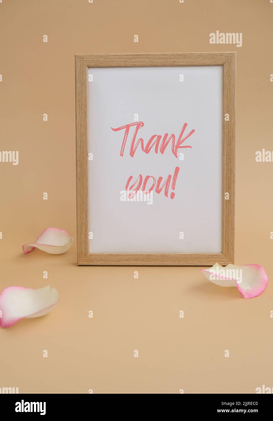 Wooden frame with text THANK YOU on paper blank and delicate pink rose ...