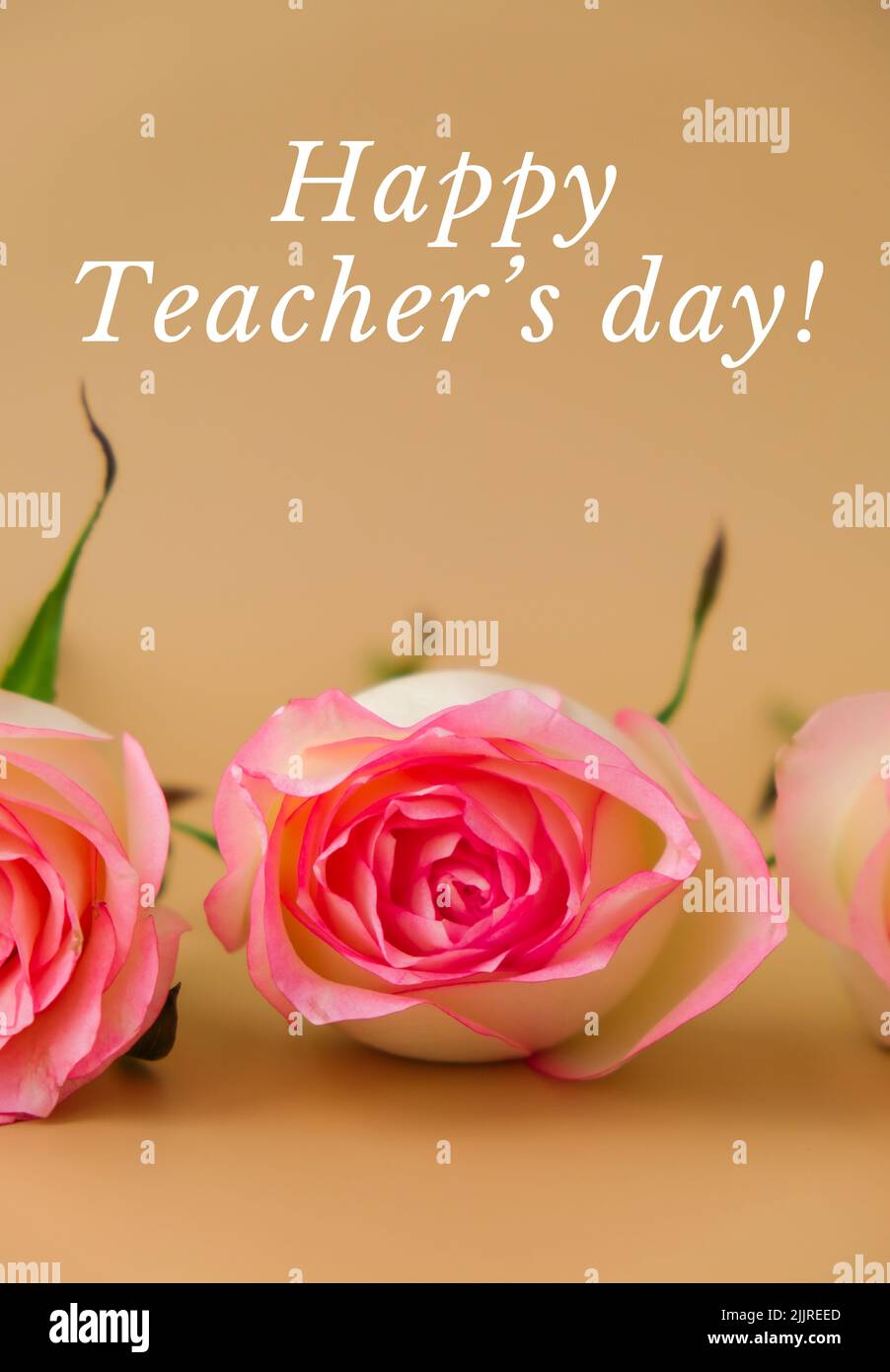 HAPPY TEACHERS DAY text Delicate pink roses on beige background ...