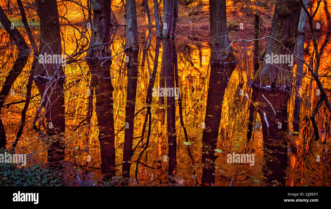 Stream water reflection trees hi-res stock photography and images - Alamy
