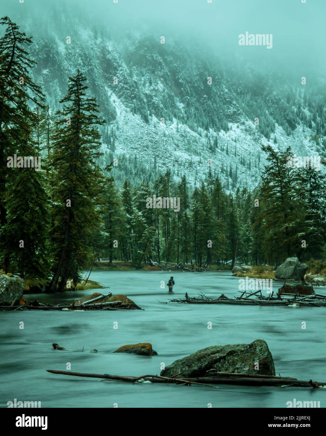 A vertical shot of the Madison River and forest in the background in ...