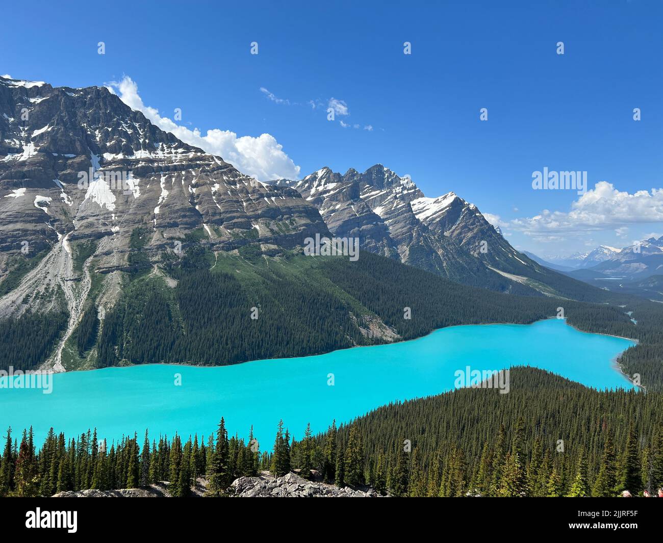 Peyto Lake of Banff National Park in Canada. Blue color alpine lake in ...