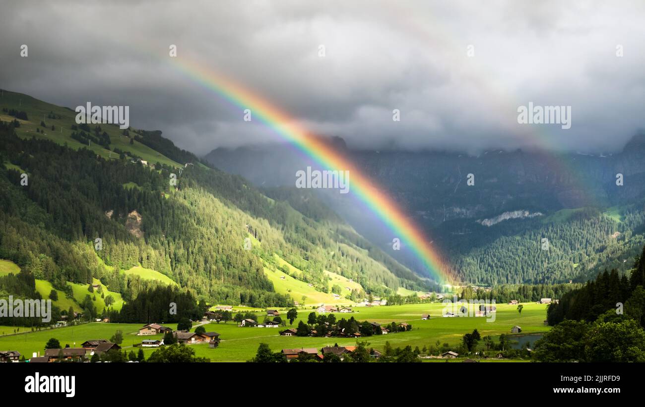 Tree under a rainbow hi-res stock photography and images - Alamy