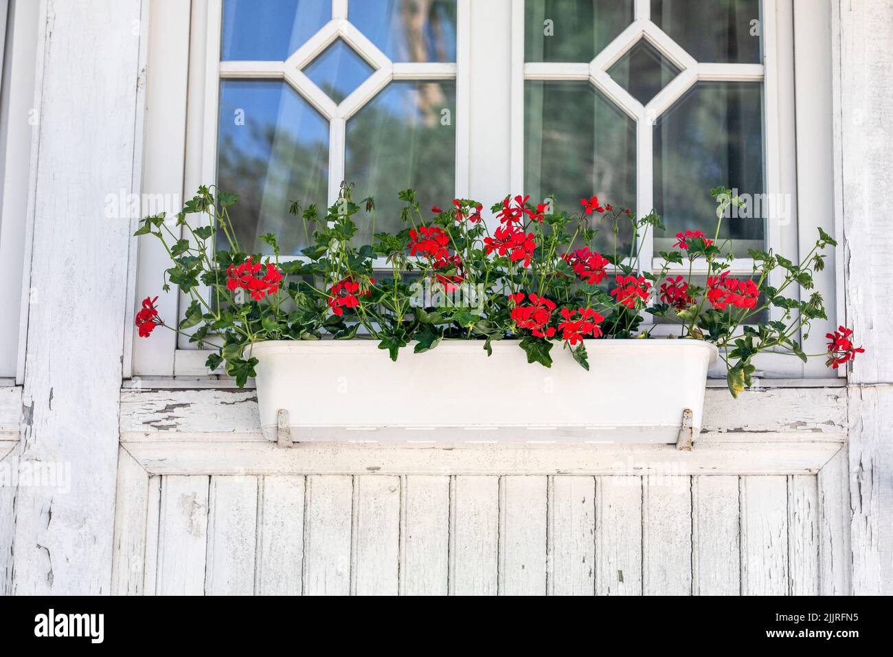 A flower box on the windowsill by a wooden window with a historical ...