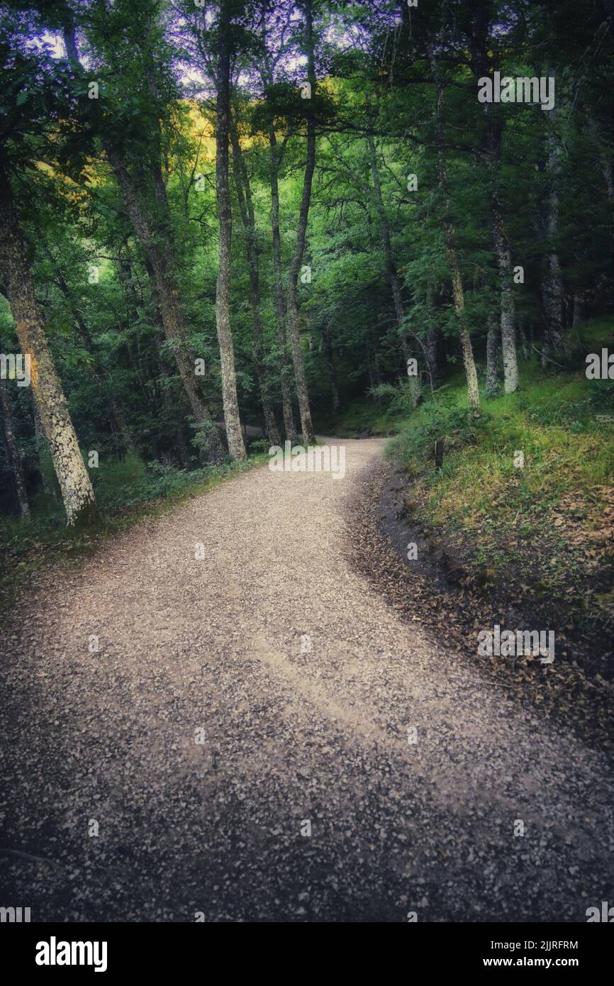 Magical pathway hi-res stock photography and images - Alamy