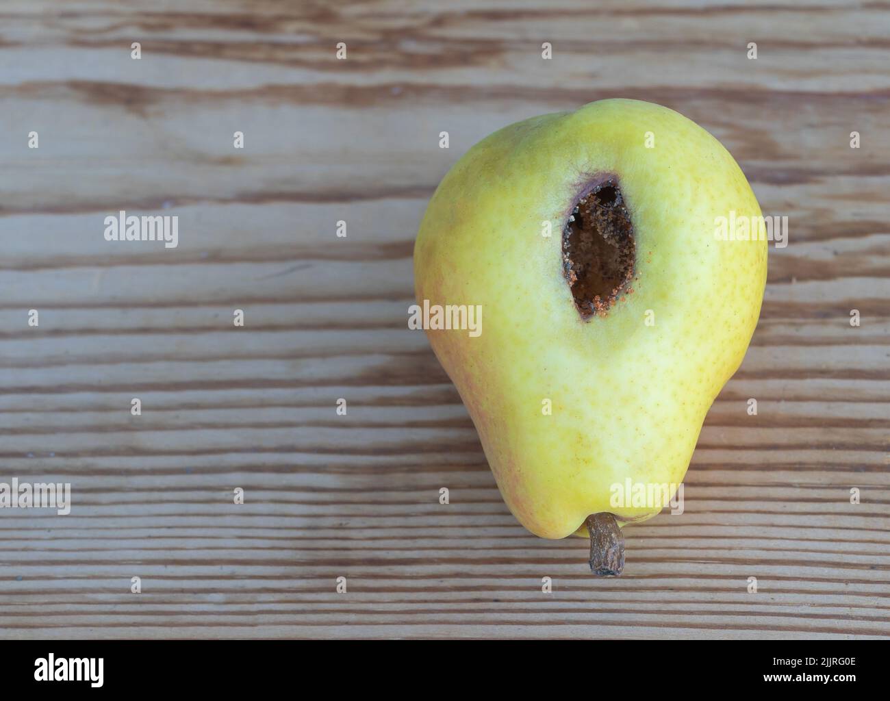 Rotten pear hi-res stock photography and images - Alamy