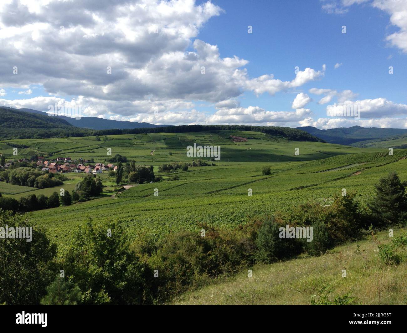 The beautiful green countryside landscape in Orschwihr, France Stock ...