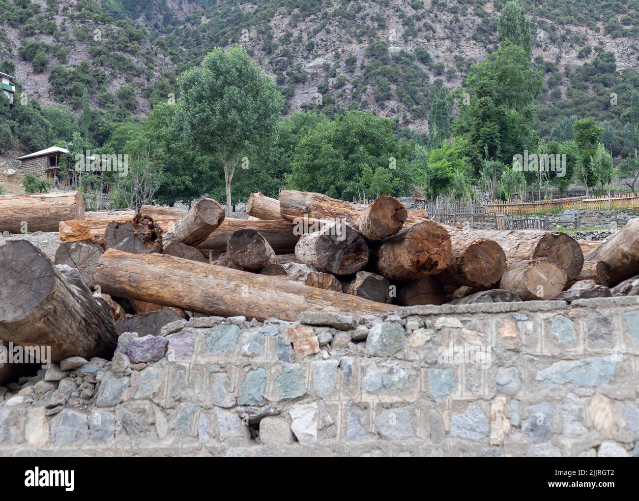 Heavy wood trunks or timber logs in a woodpile Stock Photo - Alamy