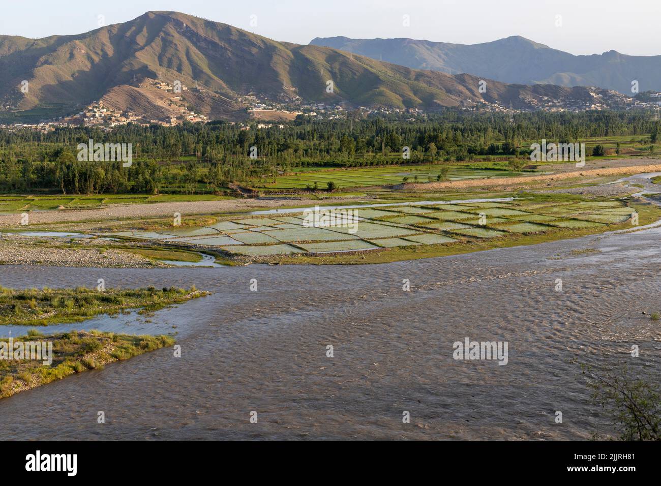 Rice fields along river swat in Pakistan Stock Photo - Alamy