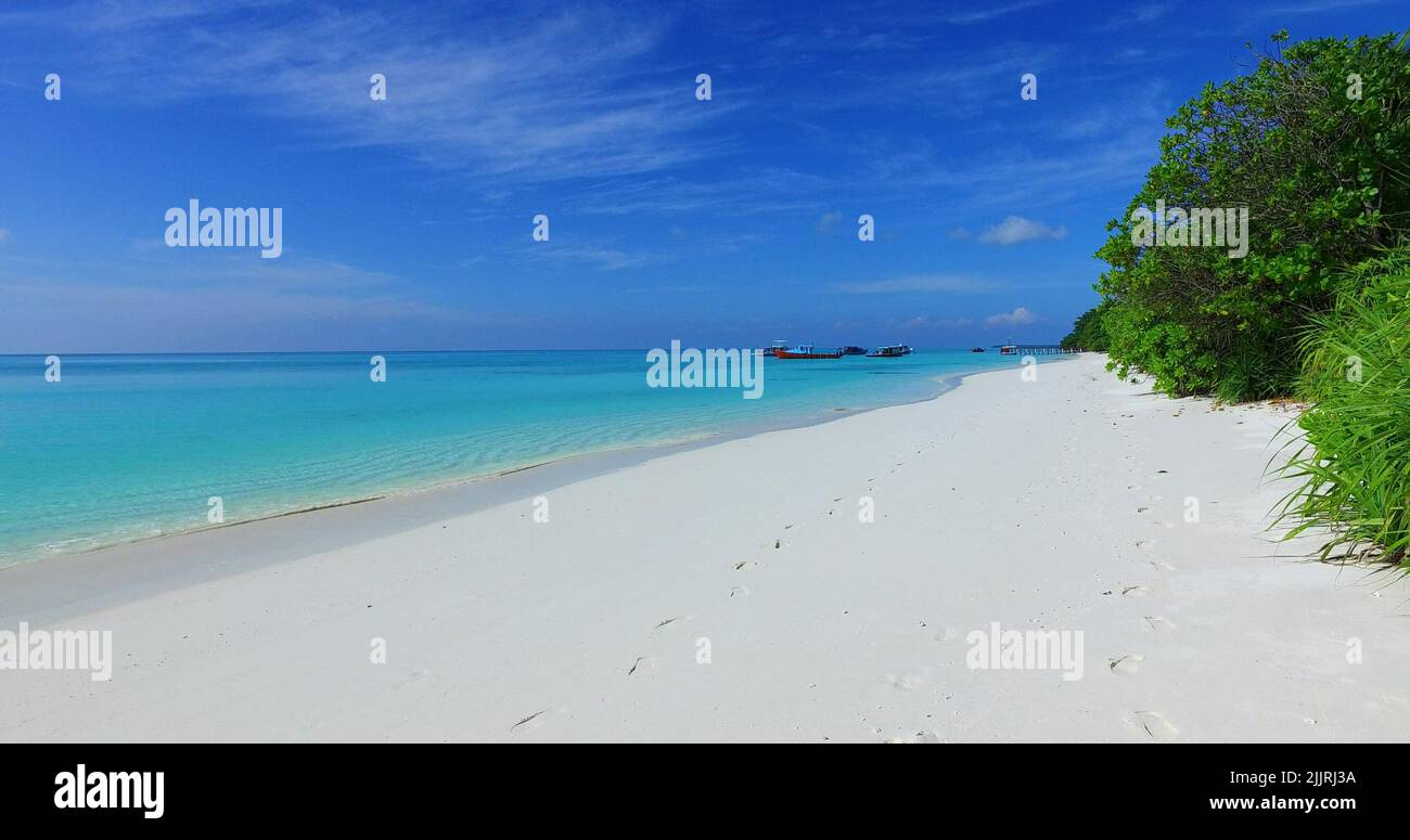 A tropical landscape of trees on the sandy beach in Tachai Island ...
