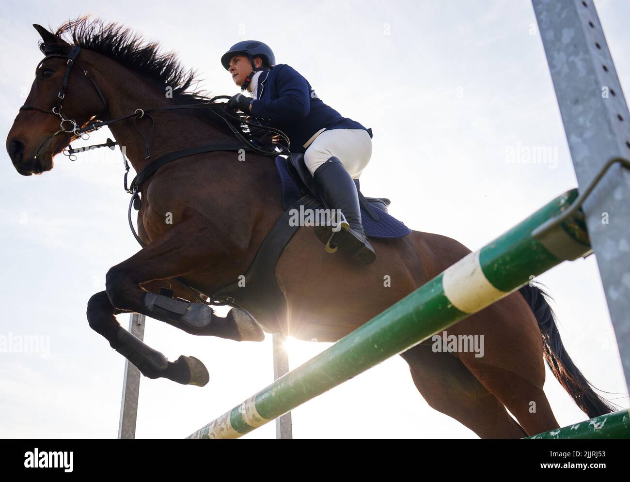 Rider and owner hi-res stock photography and images - Alamy