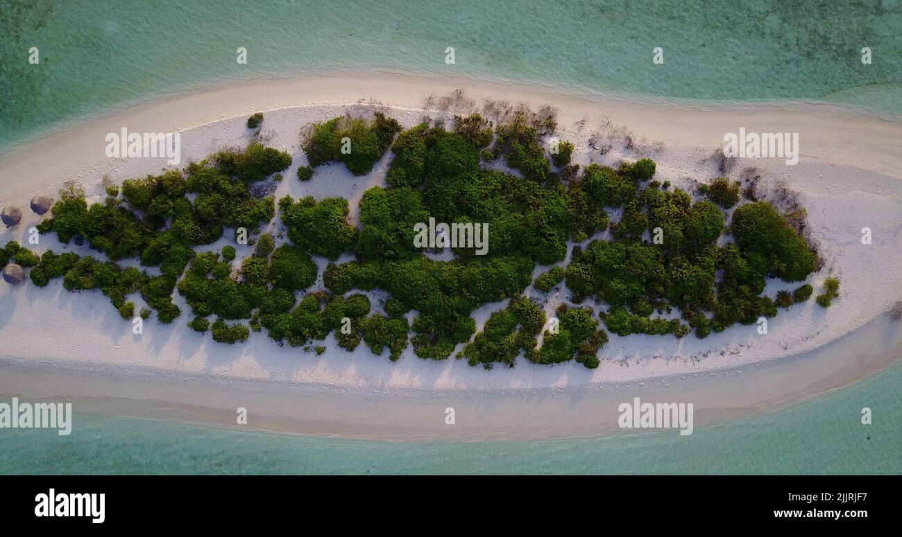 An overhead shot of a small island with green trees and sandy shore ...