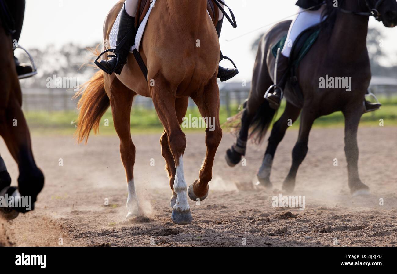 The fastest hooves win. a group of unrecognizable female jockeys riding ...