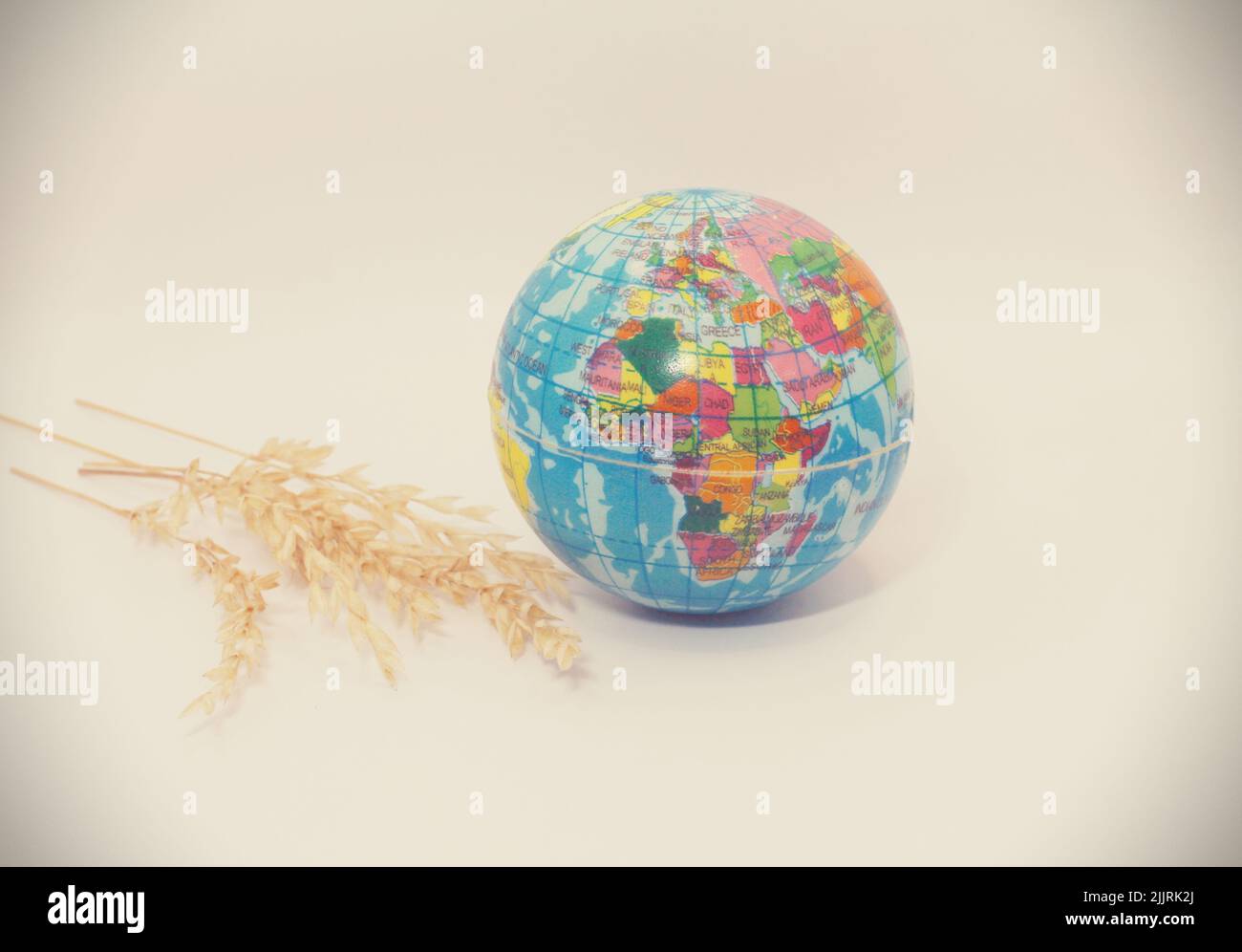 Wheat grains with globe . The concept of harvest , export , import in ... Wheat grains with globe . The concept of harvest , export , import in ...