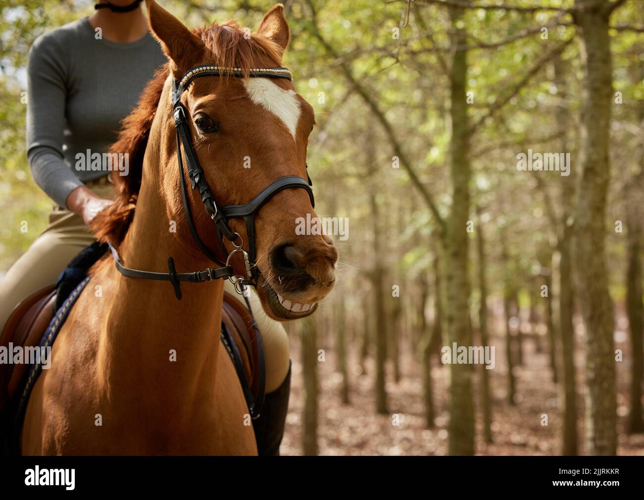 Look, I know how to smile. an unrecognisable woman horseback riding in ...