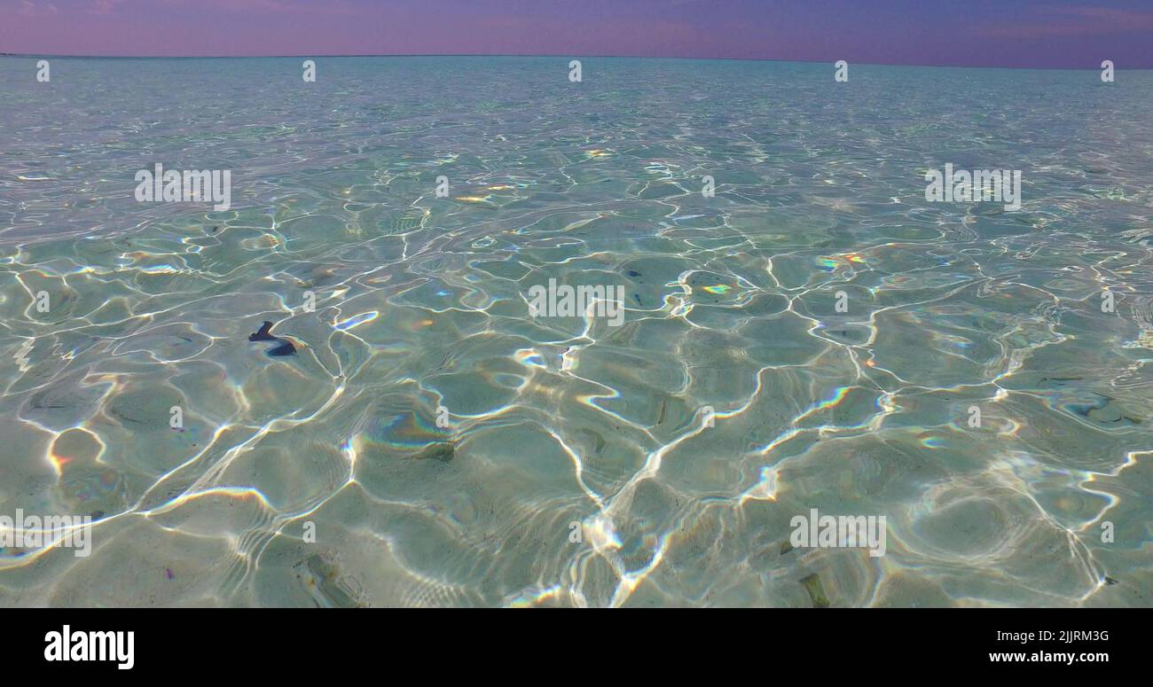A calm clear shiny sea water Stock Photo - Alamy