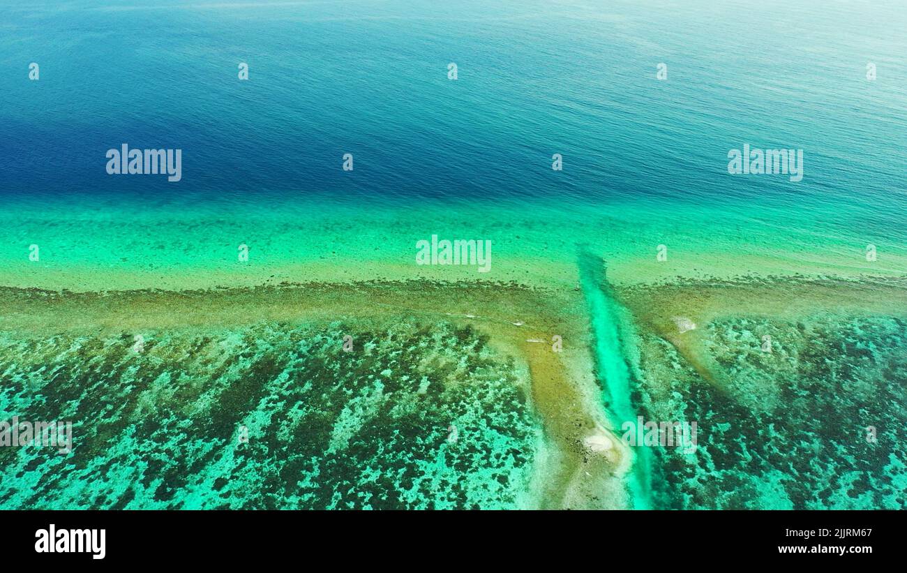 An Aerial shot of coral reefs under tranquil water in the sea and a ...