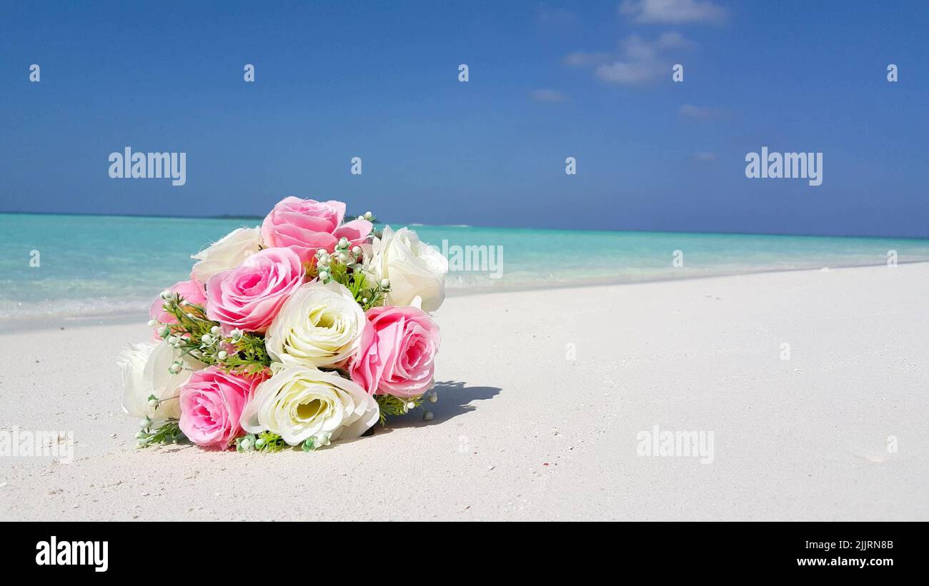 A beautiful bouquet of roses on a sandy beach Stock Photo - Alamy