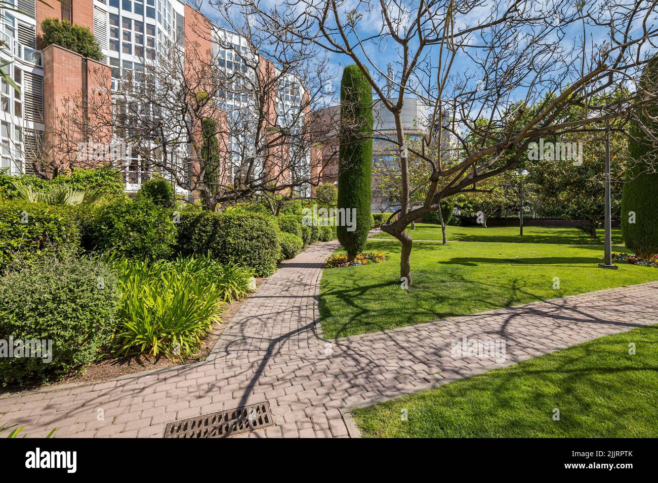 Sunny day in green european courtyard. Modern residential complex in ...