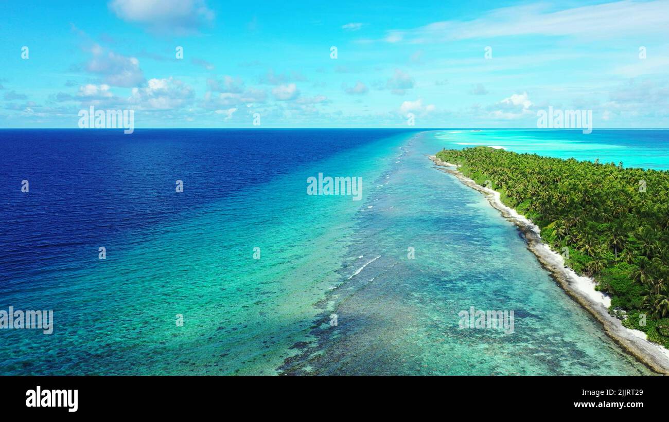 A beautiful view of an island covered with dense vegetation in Maldives ...