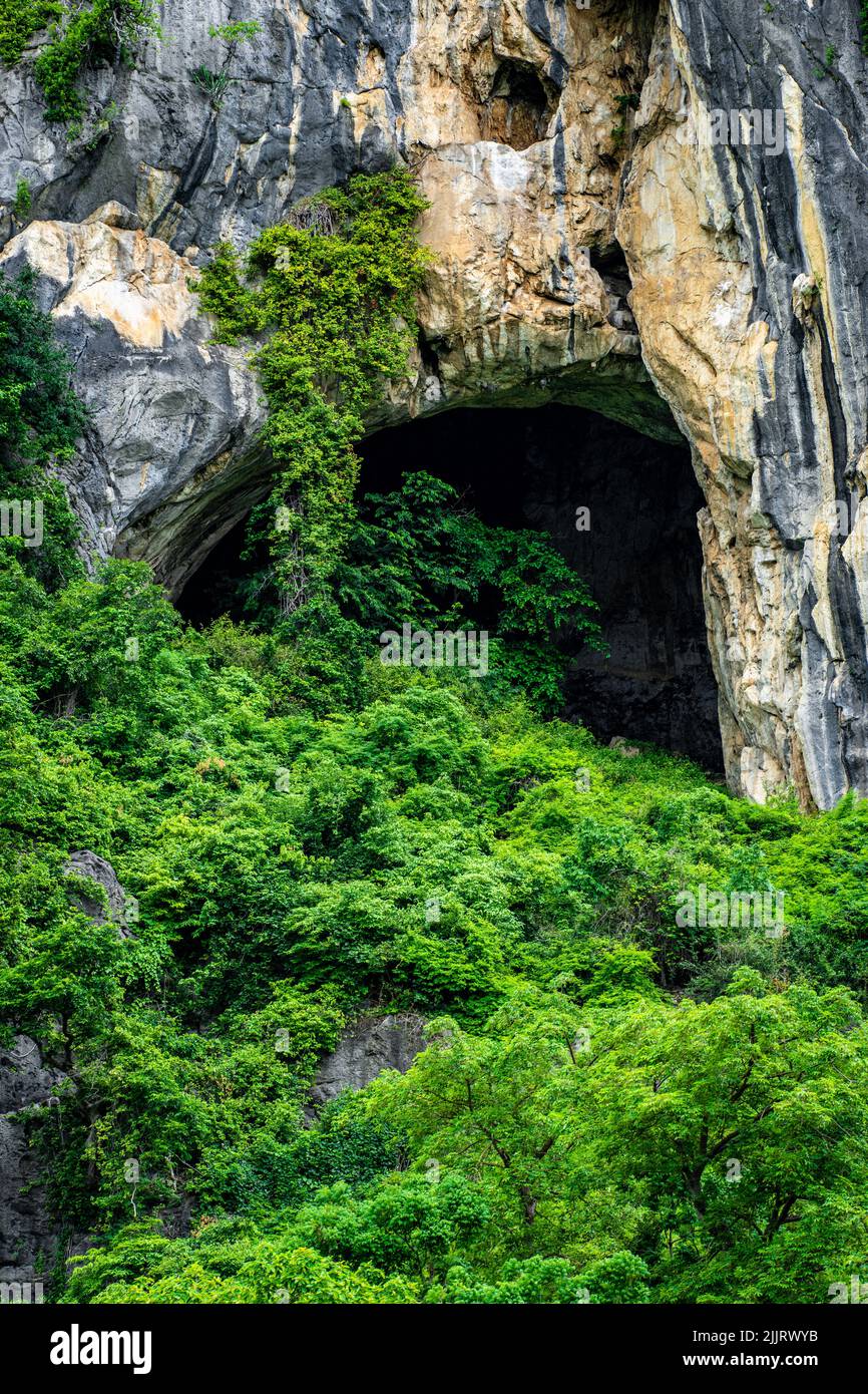 Jungle Cave Entrance