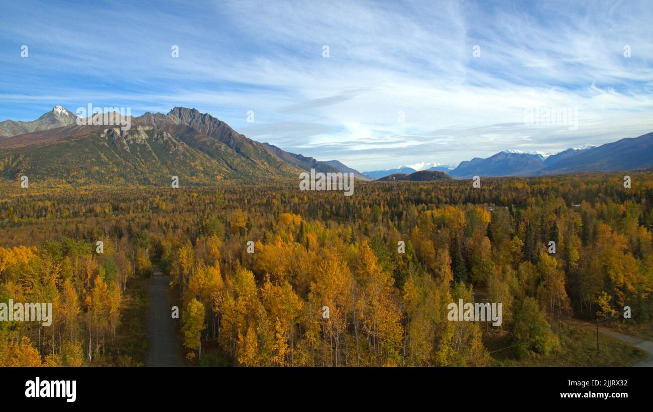 An aerial view of the Matanuska River surrounded by autumn trees ...