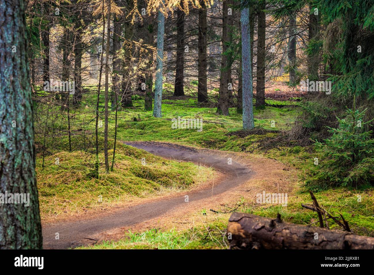 Beautiful walking path hi-res stock photography and images - Alamy