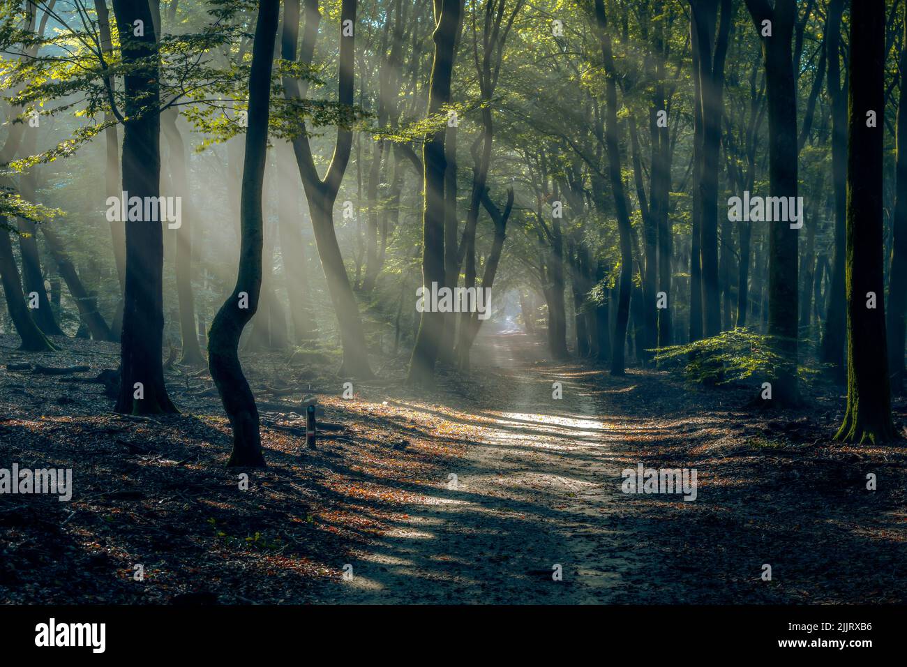 Beautiful walking path hi-res stock photography and images - Alamy