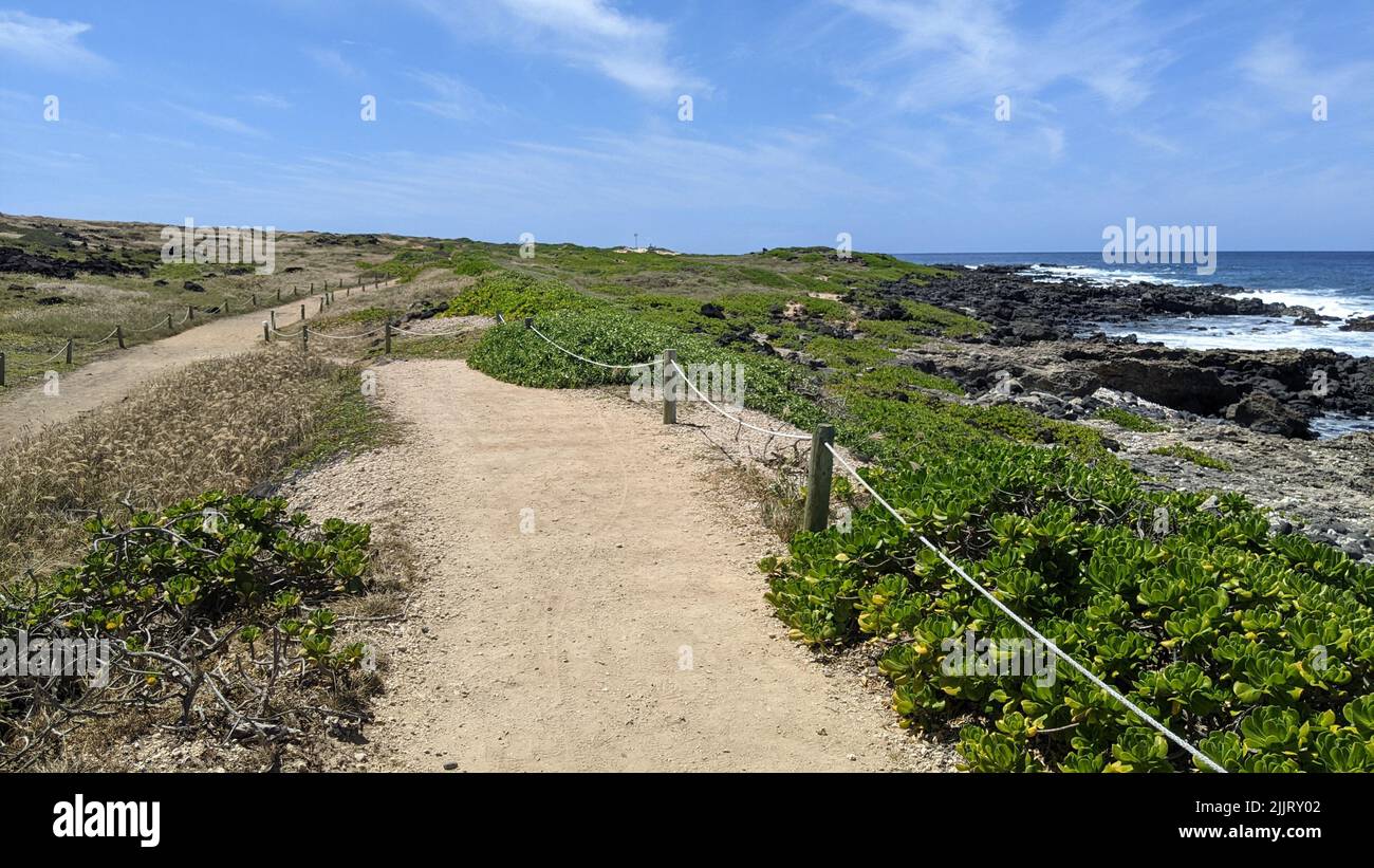 An unpaved path overgrown with wild plants by a rocky beach against ...