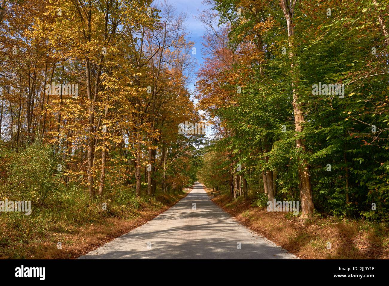 Beautiful road going through hi-res stock photography and images - Alamy