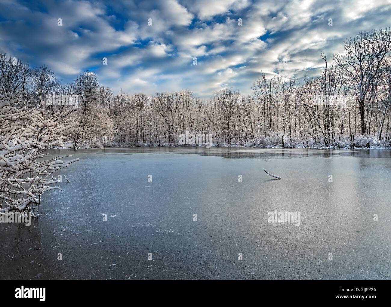 Caperton swamp park hi-res stock photography and images - Alamy
