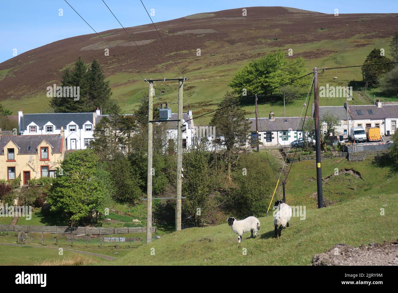 The Southern Upland Way Scotland's Great Trails long-distance footpath ...