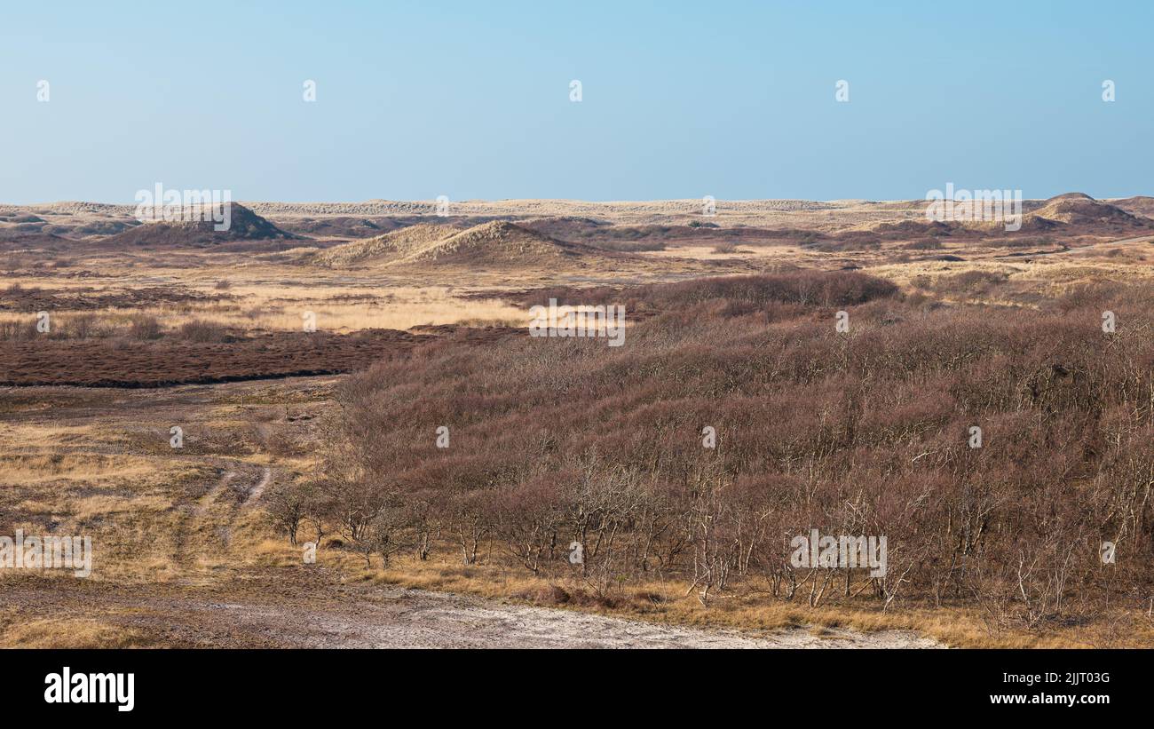 The landscape view of the National Park Duinen van Texel, Texel Island ...
