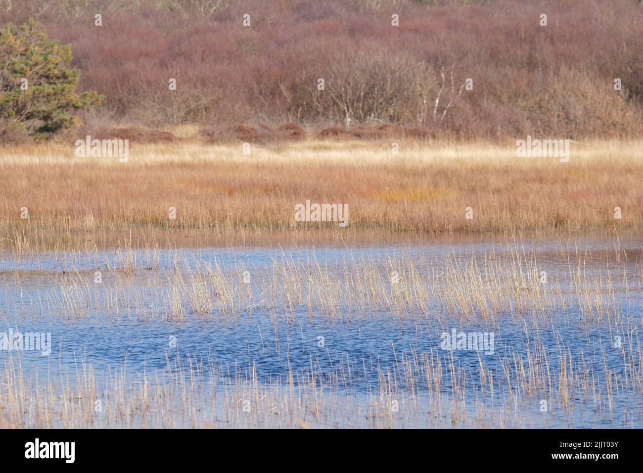 The landscape with the blue river view of the National Park Duinen van ...