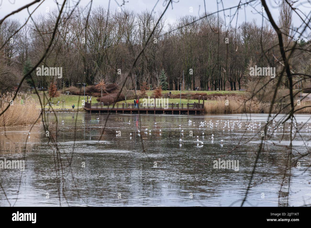 Clay pit pond in Szczesliwicki Park in Ochota district of Warsaw ...