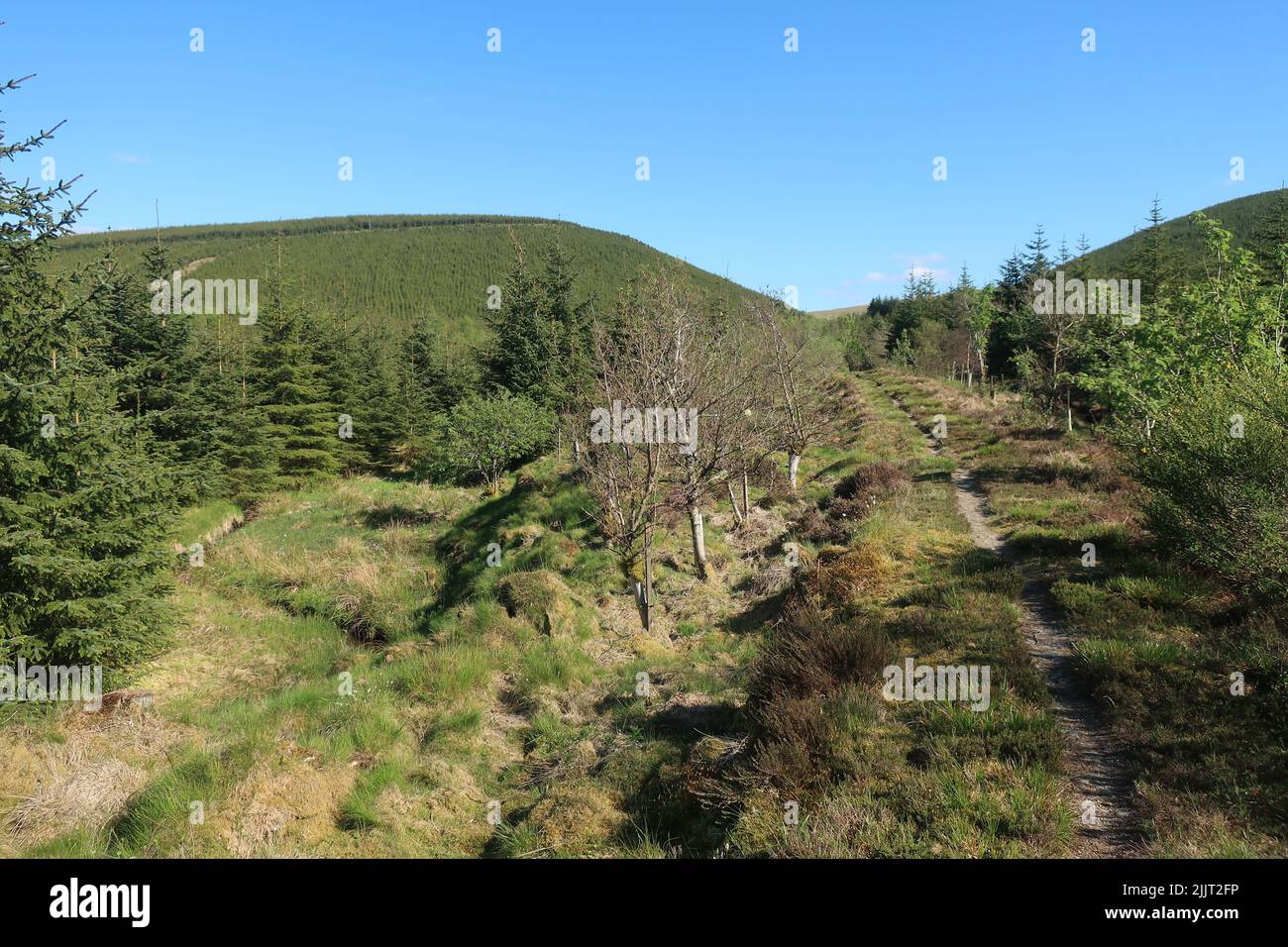 The Southern Upland Way Scotland's Great Trails long-distance footpath ...
