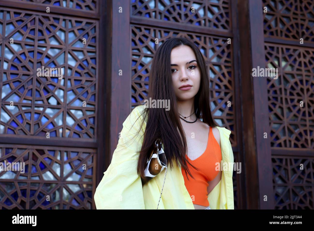 Portrait of pretty sensual girl with long hair and perfect makeup ...