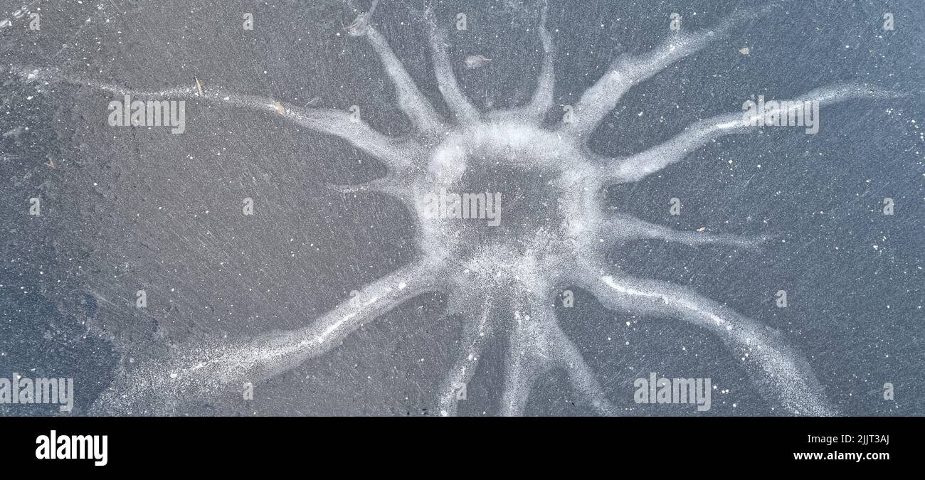Nerve cells microscope hi-res stock photography and images - Alamy